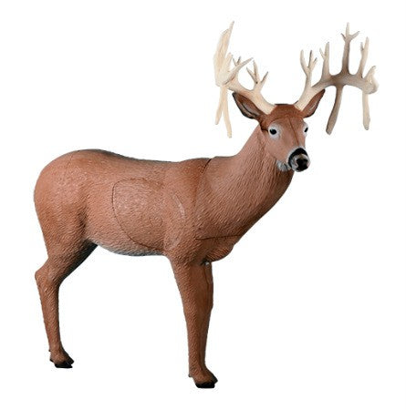 Rinehart 30pt Buck – Benson Archery