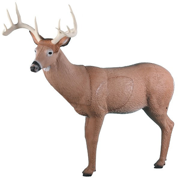 Rinehart Big Ten Buck – Benson Archery