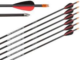 Win Win Challenge 1500 Premade Arrows Dozen – Benson Archery